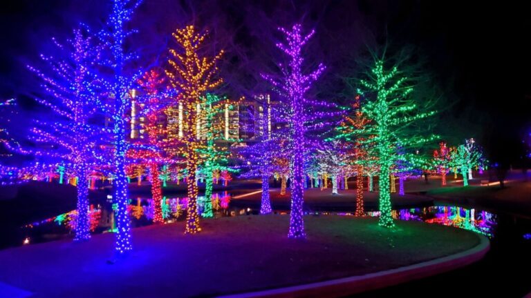 Light Up Winter Garden | Healthy West Orange
